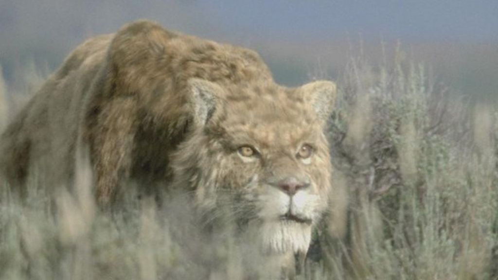 Ice Age sabretooth cat's deadly attacks - BBC News