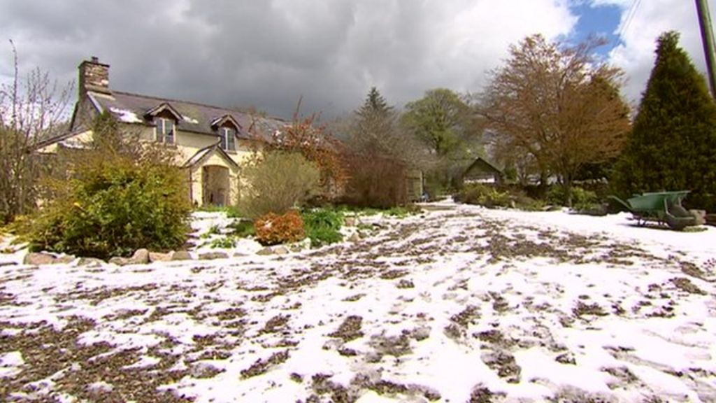 Snow, wind and rain hit parts of UK - BBC News