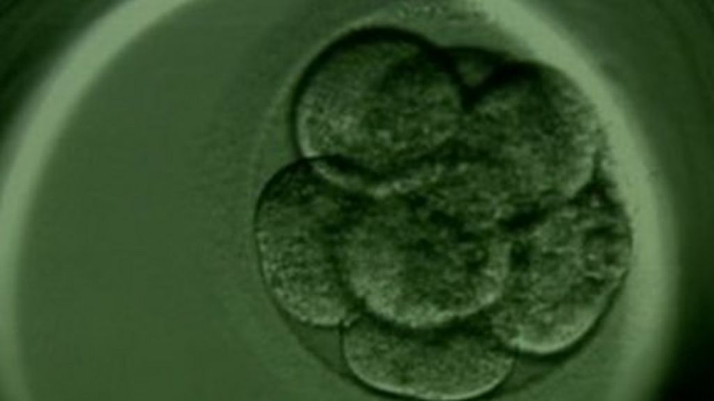 IVF 'may be boosted by time-lapse embryo imaging' - BBC News