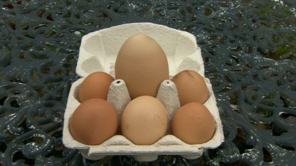 Cheshire chicken lays giant egg - BBC News