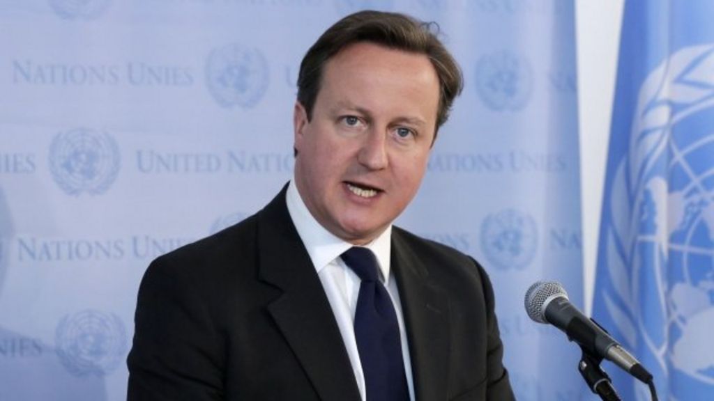 Brian Binley MP: Tories want Cameron "to stop" - BBC News