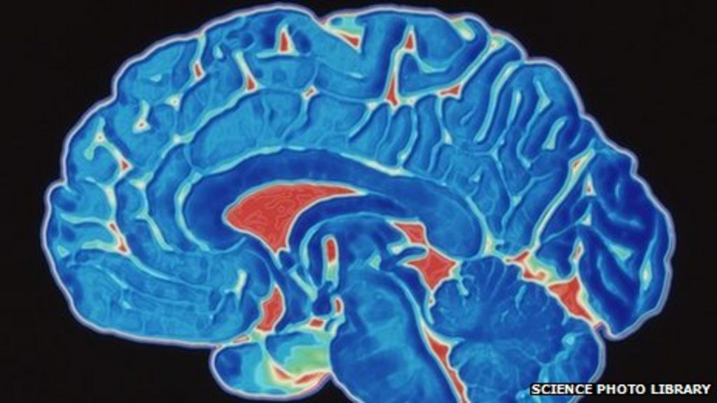 Professor's 'brain soup' experiment shows cognitive power - BBC News