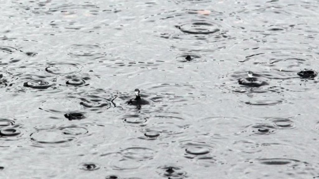 Scientists 'meet over odd weather' - BBC News