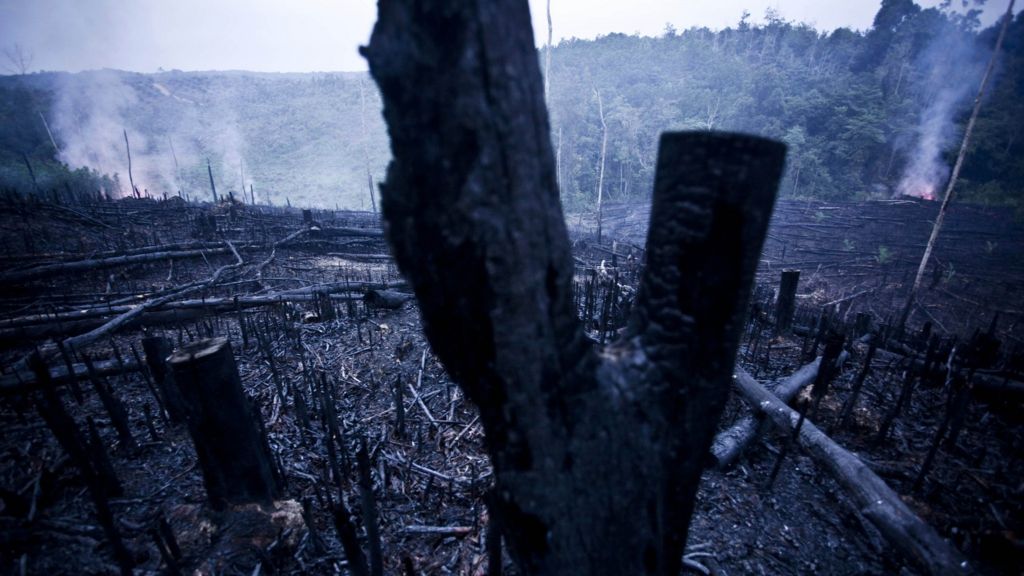 South East Asia haze: What is slash-and-burn? - BBC News