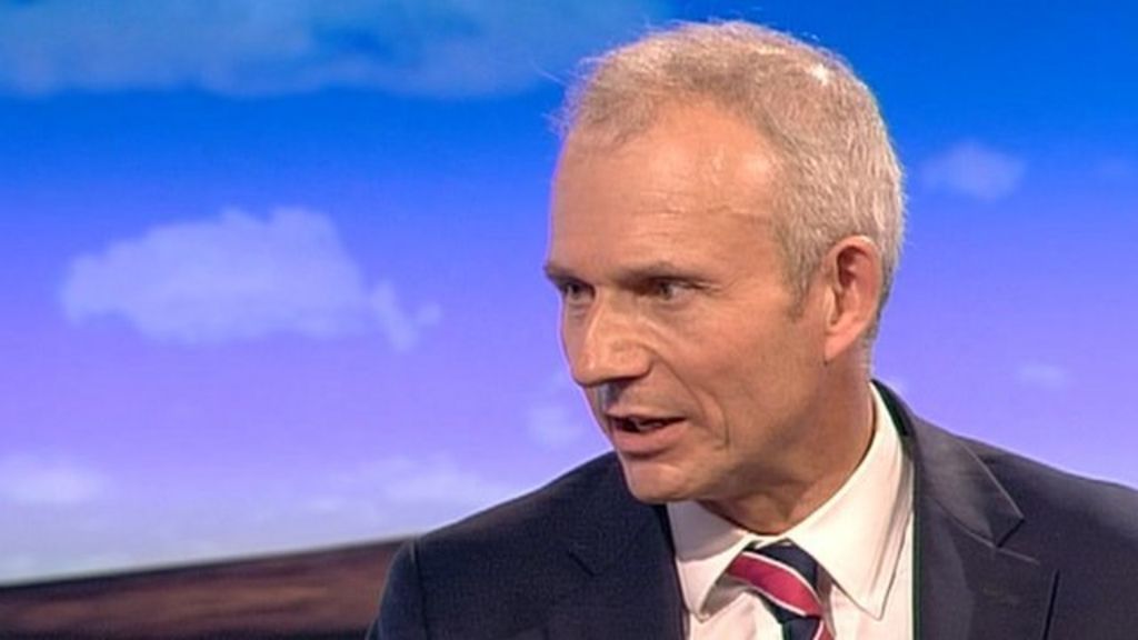 EU referendum: David Lidington on James Wharton bill - BBC News