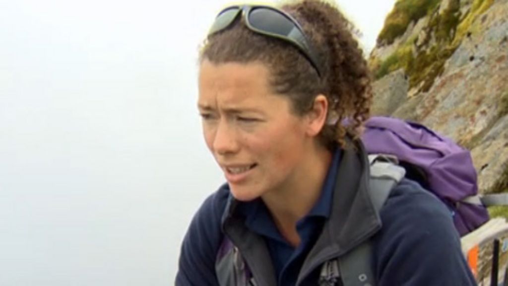 Race bid to close 'too busy' Snowdon - BBC News