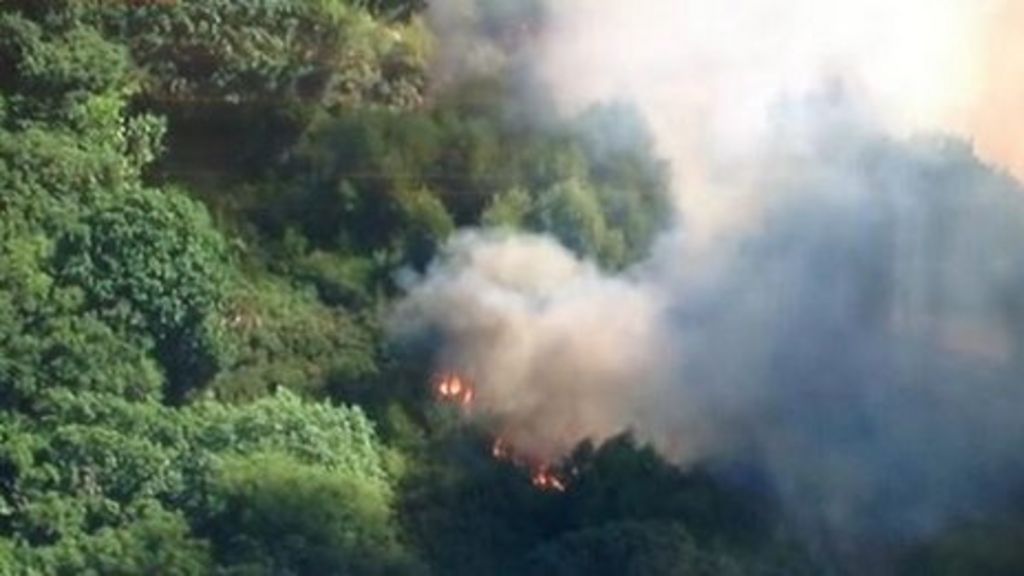 Firefighters remain at Epping Forest blaze - BBC News