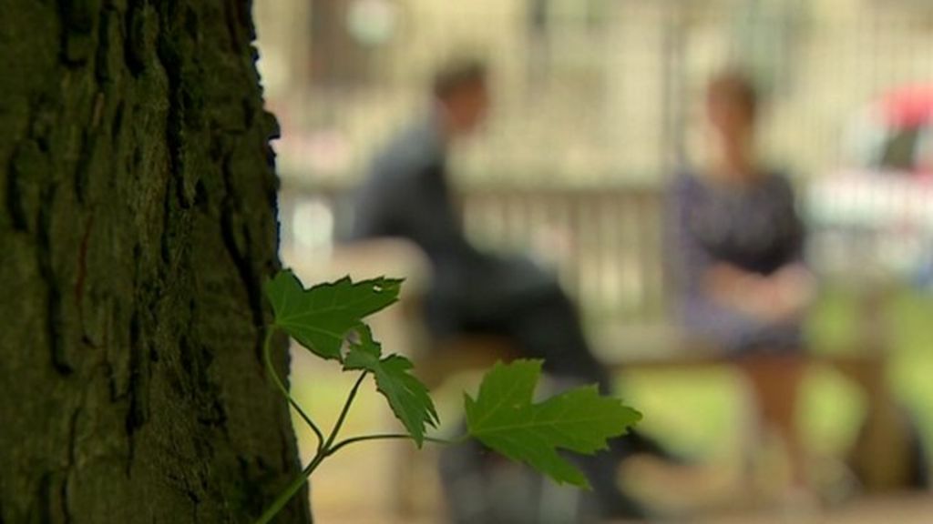 Hall victim: 'He felt he could get away with anything' - BBC News