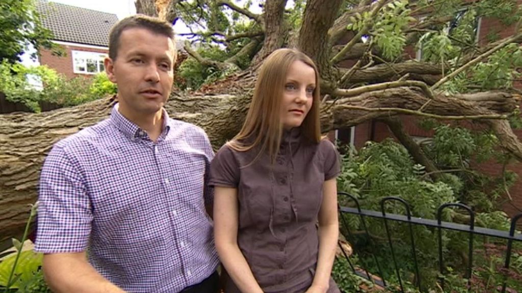 Ash tree falls on to Melton Mowbray couple's house - BBC News
