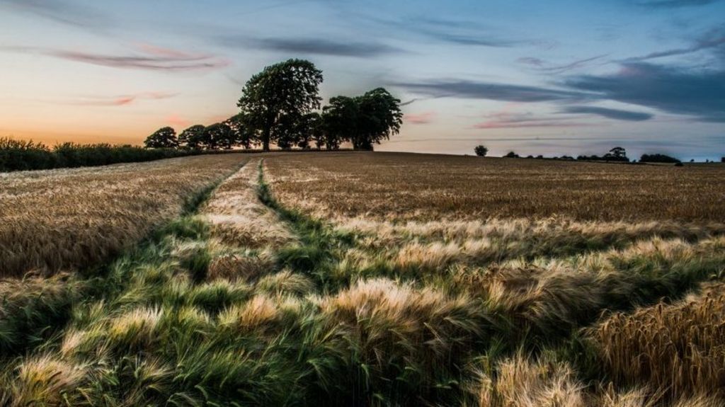 Your pictures: Rural life - BBC News