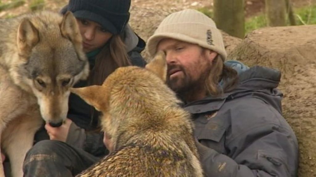 'Wolf man' Shaun Ellis fears destruction of his 'family' - BBC News