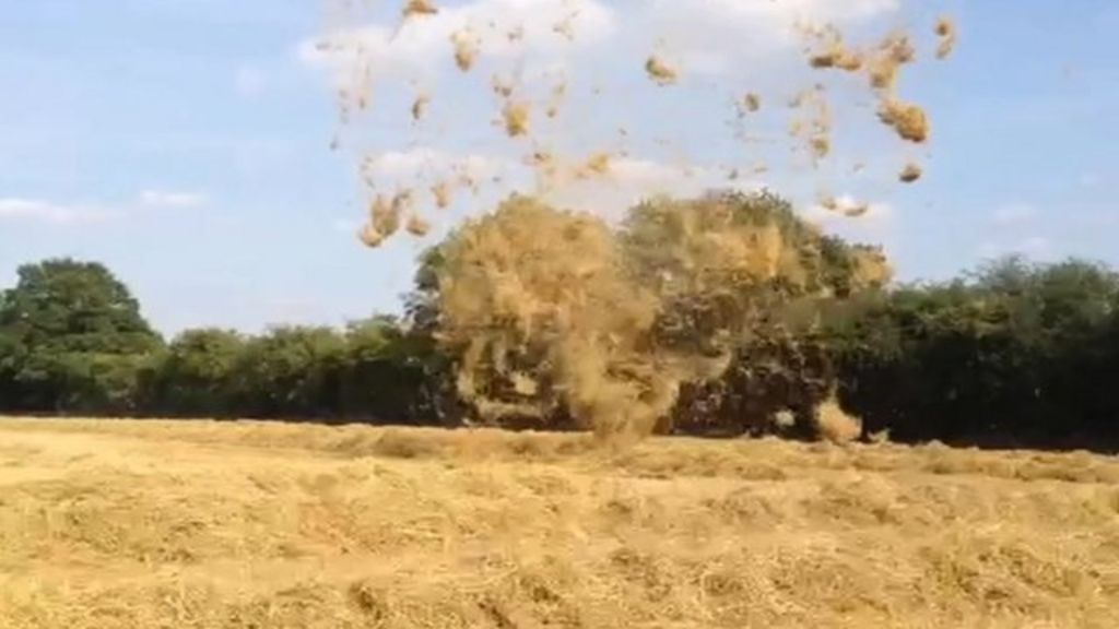 'Hay devil' caught on camera in Hampshire - BBC News
