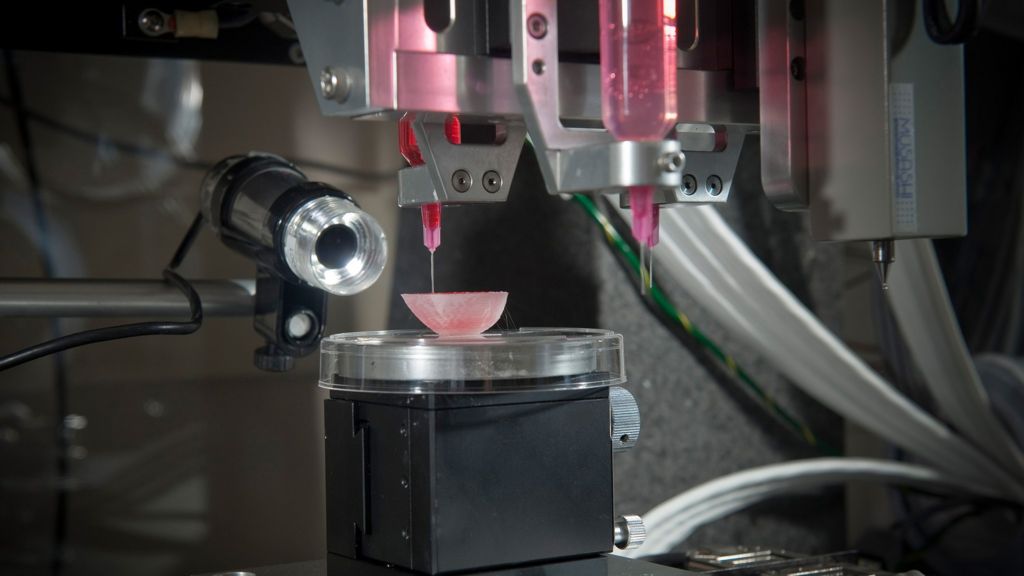 'Body on a chip' uses 3D printed organs to test vaccines - BBC News