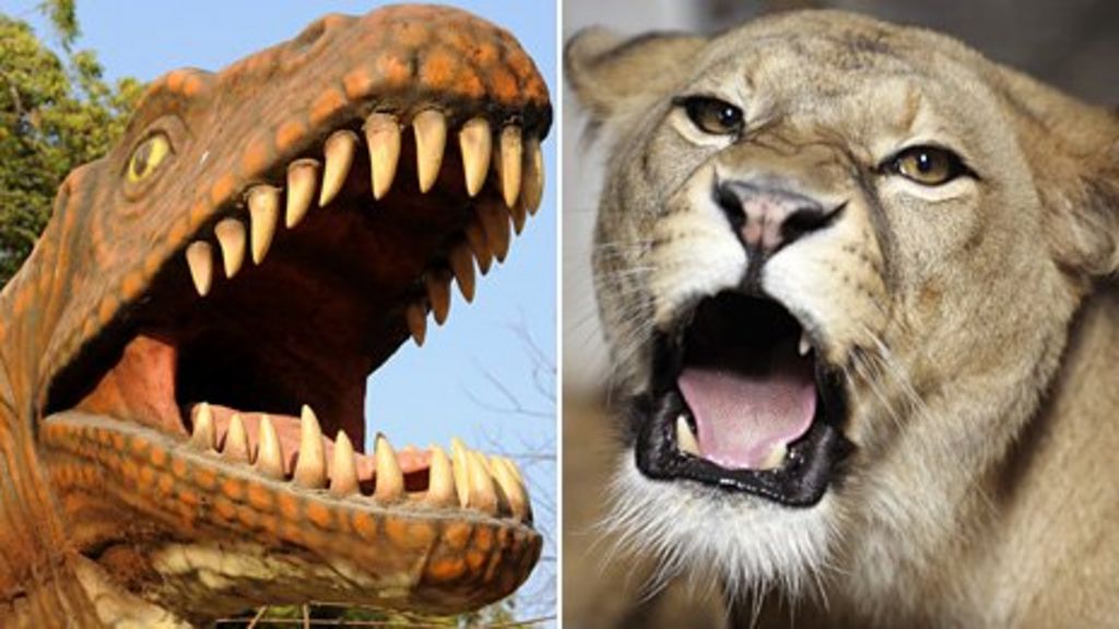 Pakistan: Zoo 'replaces animals with dinosaurs' - BBC News
