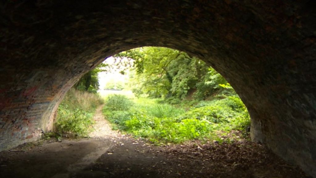 Lapal Canal in Birmingham could reopen after 96 years - BBC News