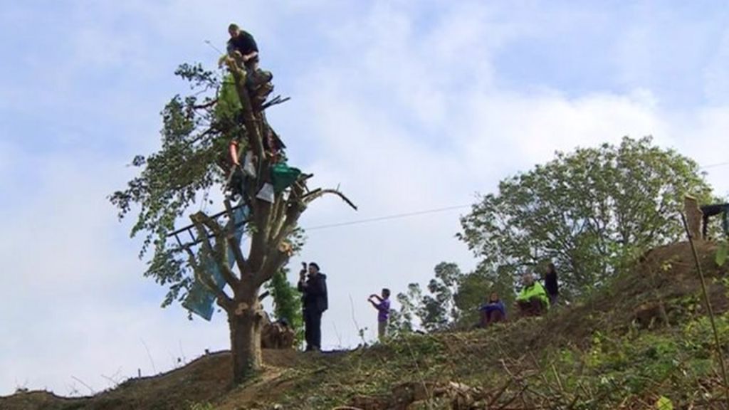 Campaigners climb apple tree in Stroud - BBC News