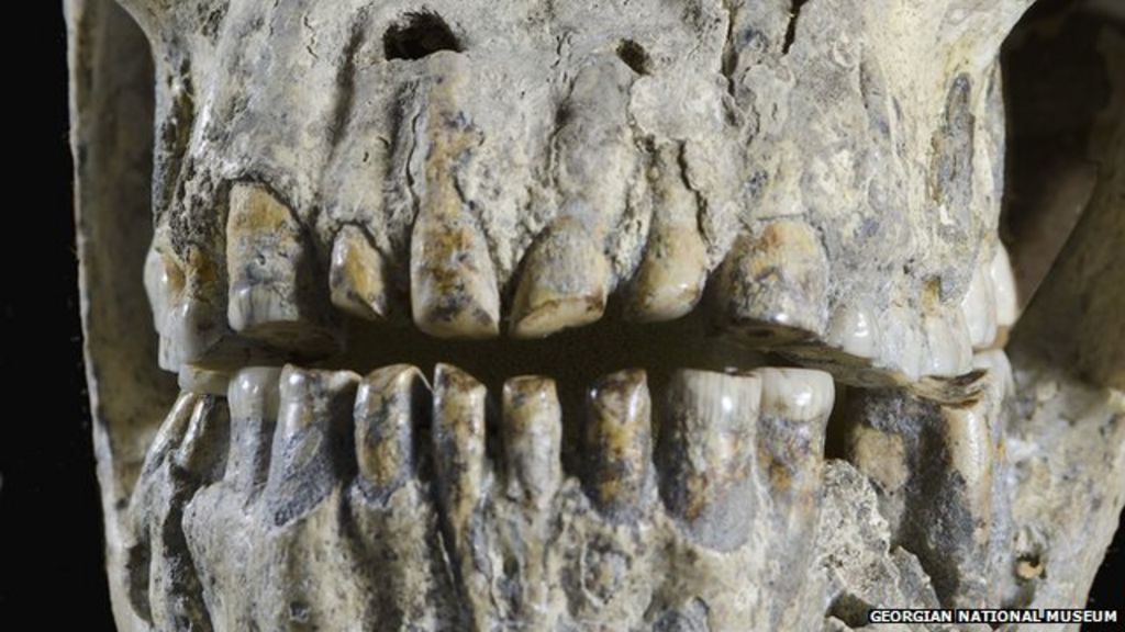The Georgian skull discovery explained - in 90 seconds - BBC News