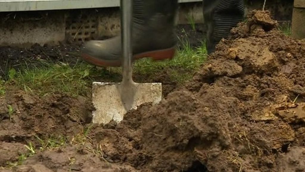 Writtle Junior School dig fails to unearth time capsule - BBC News