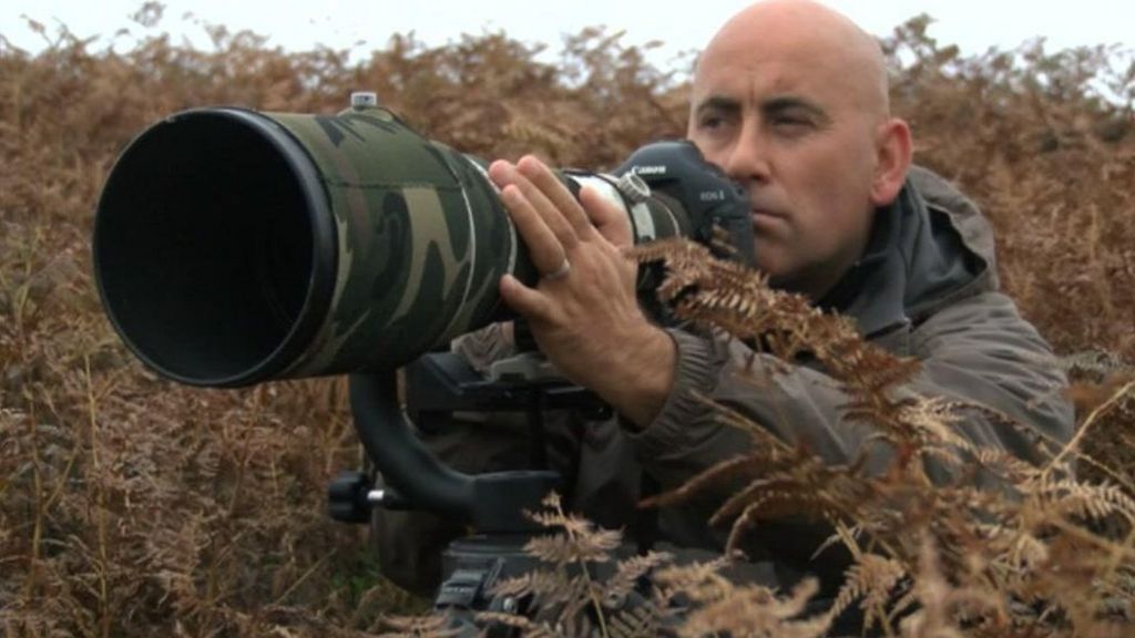 North Yorkshire wildlife photographer's long wait for 'special moments ...