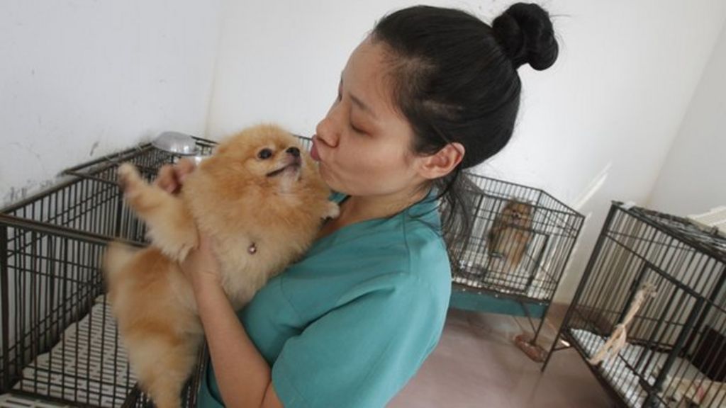 How do your pets communicate with you? - BBC Newsround