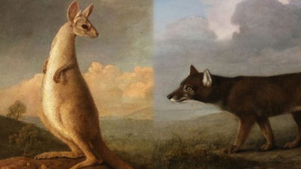 George Stubbs' kangaroo and dingo paintings to stay in UK - BBC News
