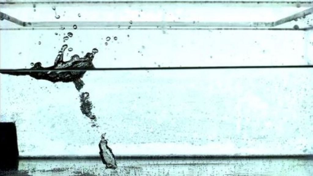 The physics of urine "splashback" - BBC News