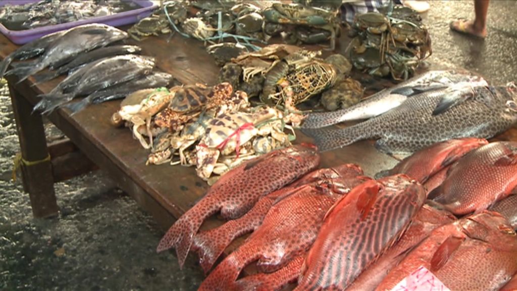 Philippines fish traders hit by Typhoon Haiyan - BBC News