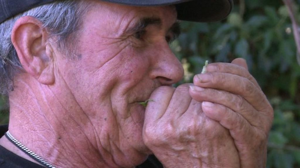 The Spanish 'wolf man' who survived 12 years in the wild - BBC News