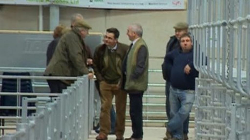 £5m Raglan market marks 'a new start' - BBC News