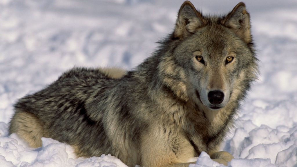 10 things we didn't know last week - BBC News