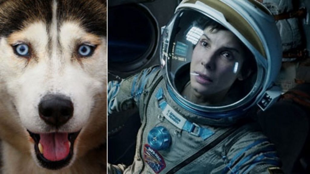 Gravity dog laps up film canine honour - BBC News