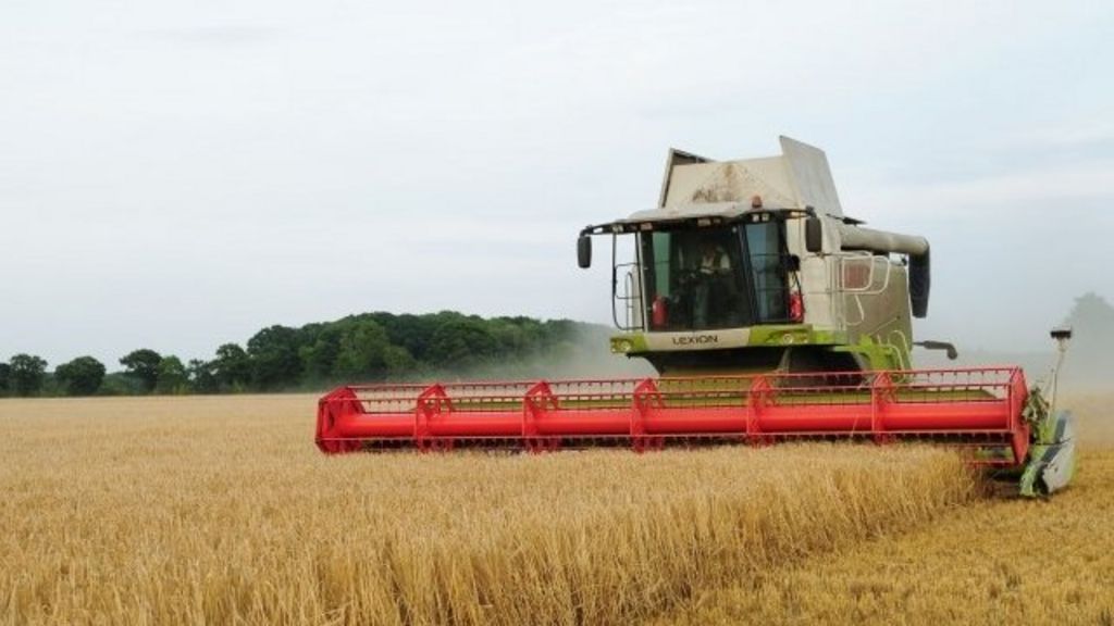 Farmers' leaders protest over 'green' subsidy plan - BBC News