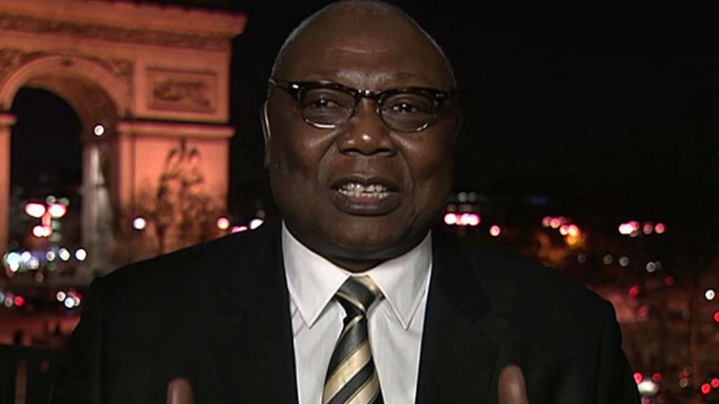 Seleka 'not a legitimate power' in Central African Republic - BBC News