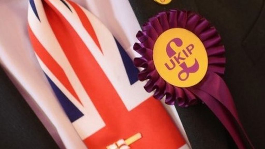 UKIP to 'completely change UK politics' if it wins the European ...