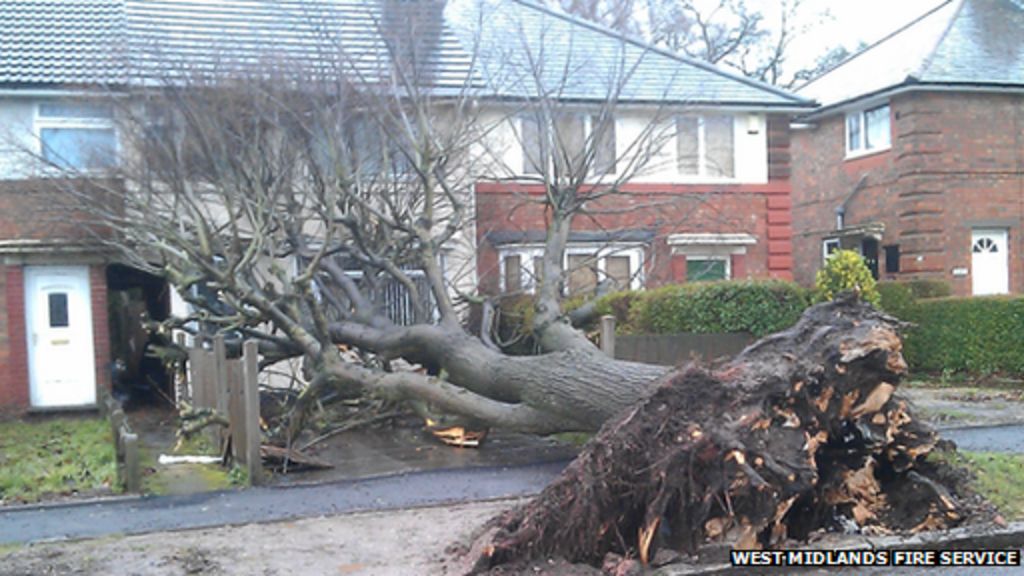 Tree falls on house in Kings Road in Kingstanding, Birmingham - BBC News