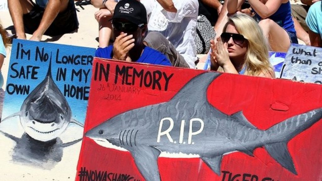 Australian protests over Perth's shark cull law - BBC News