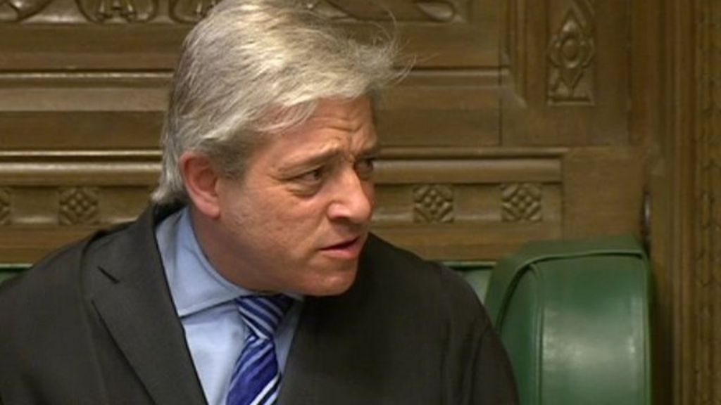 Speaker John Bercow pays tribute to MP Meg Munn - BBC News