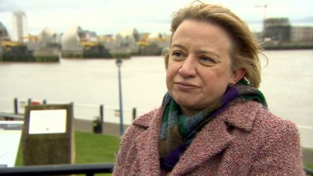 Natalie Bennett on government advisers' climate change view - BBC News