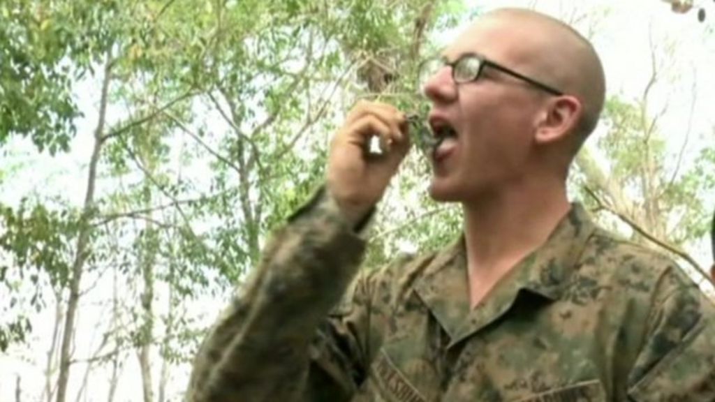 Marines eat scorpions for training exercise in Thailand - BBC News