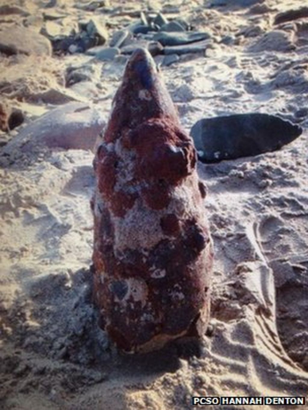 Storm reveals unexploded WW2 bomb on Crow Point beach - BBC News