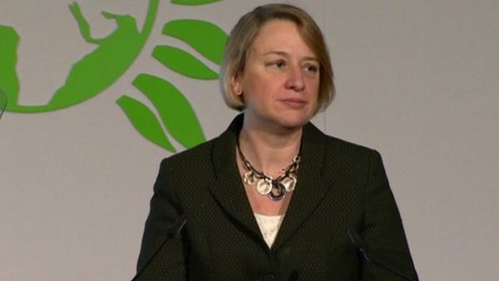 Climate change: Greens say scientific debate 'is over' - BBC News