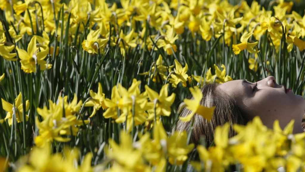 Parts of UK enjoy warmest day of the year so far - BBC News