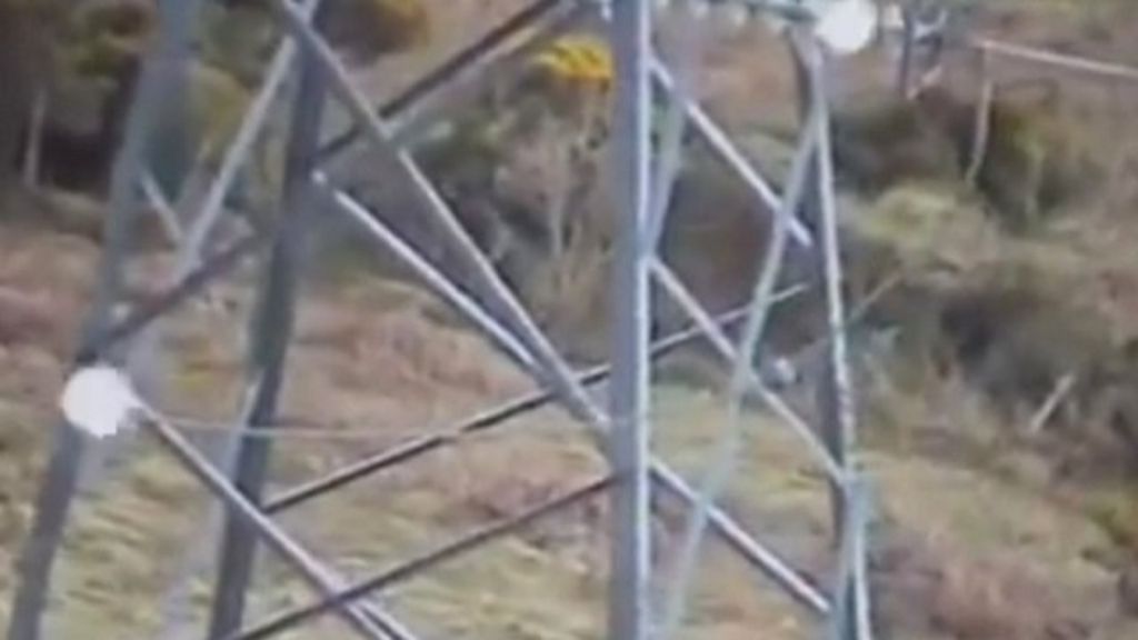 Why power lines might scare wildlife - BBC News