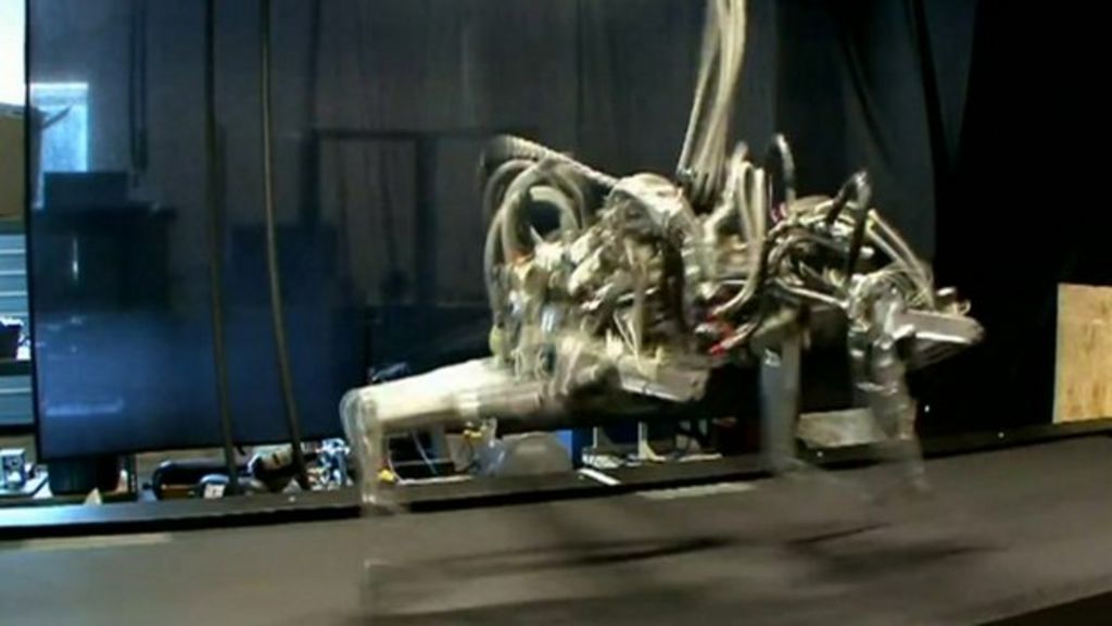 The robots inspired by animals - BBC Newsround