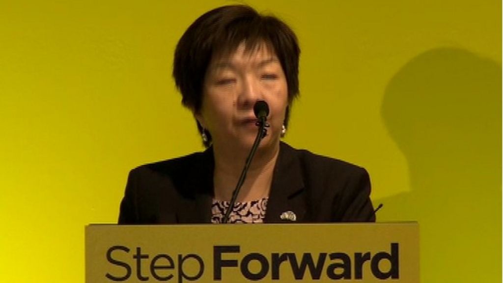 Anna Lo rejects criticism of 'united Ireland' remarks - BBC News