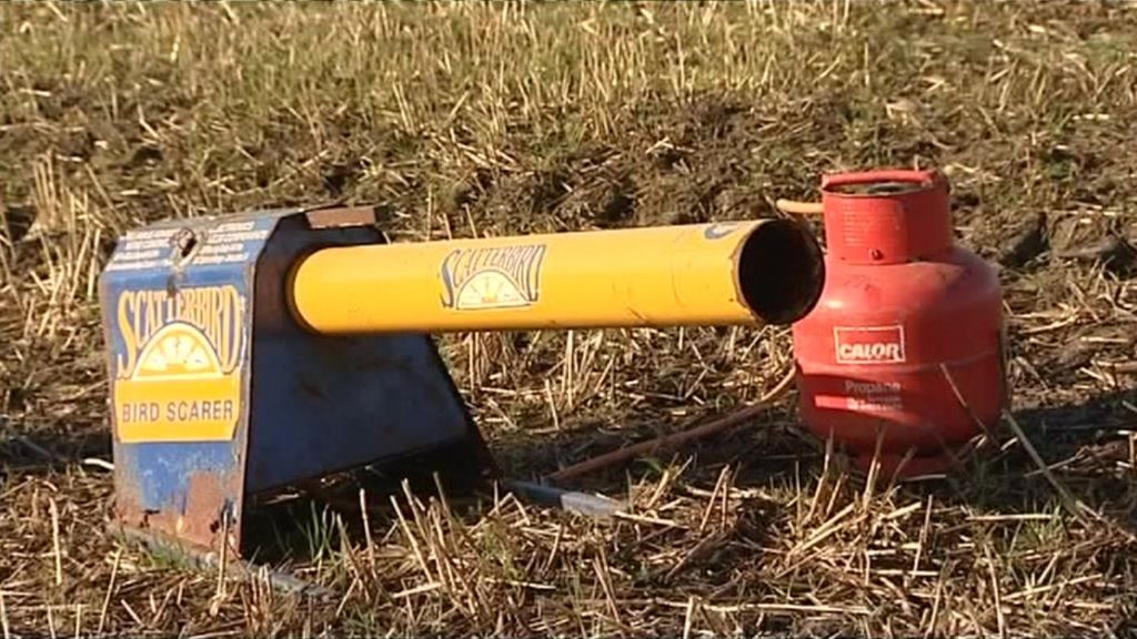 Bird scarers cause 'noise nuisance' claim in East Yorkshire - BBC News