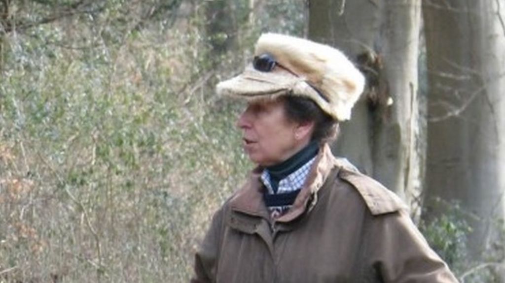 Princess Anne: Gassing badgers is most humane way to cull - BBC News