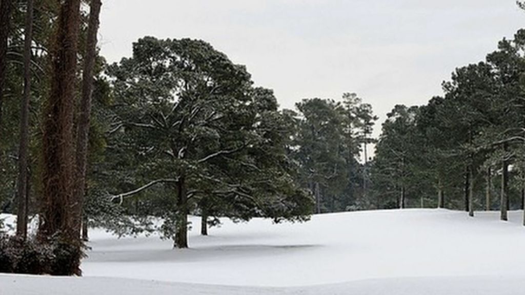 Masters 2014: The demise of the President Eisenhower tree - BBC Sport