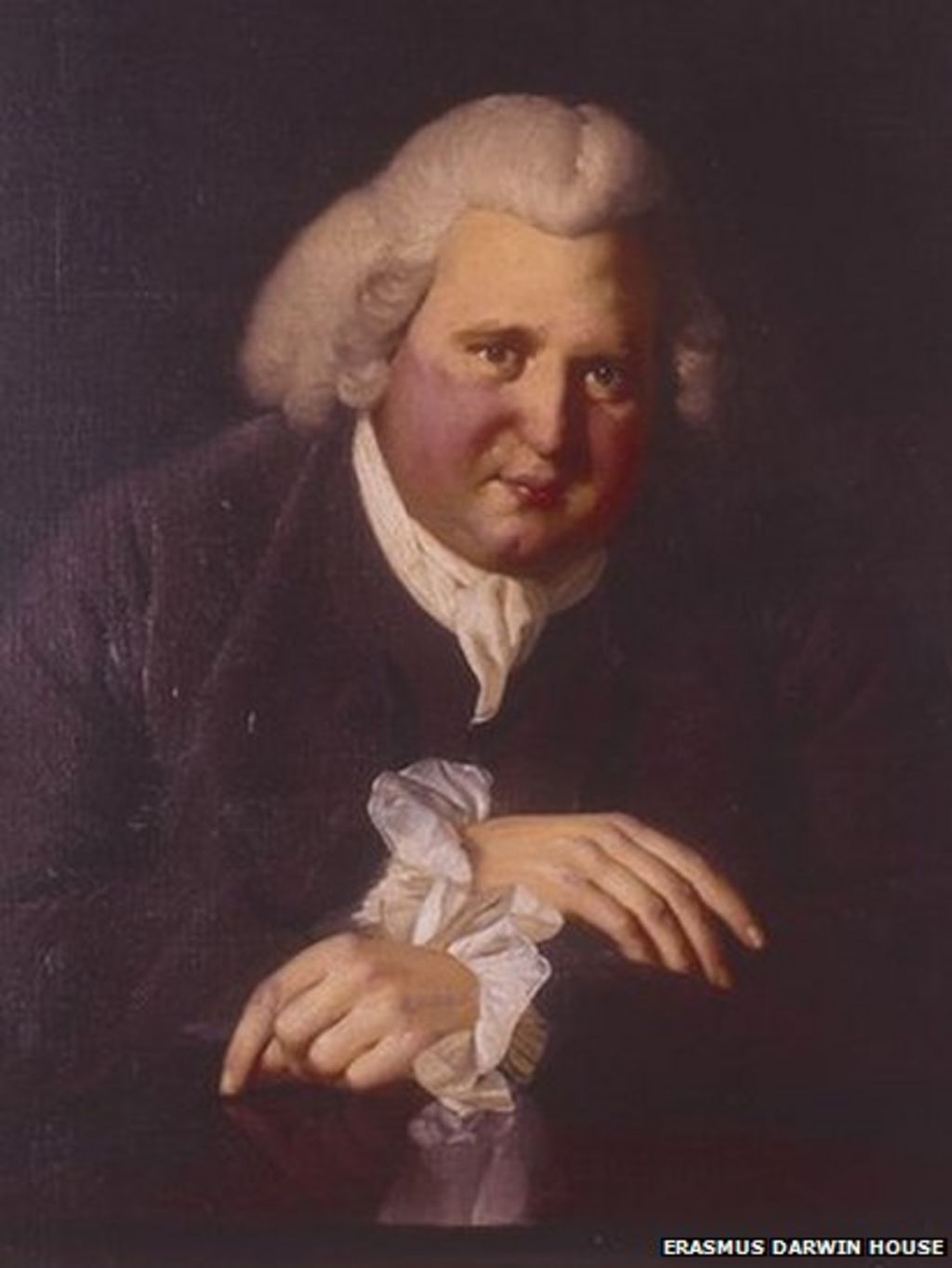 Erasmus Darwin: The Leonardo da Vinci of the Midlands - BBC News