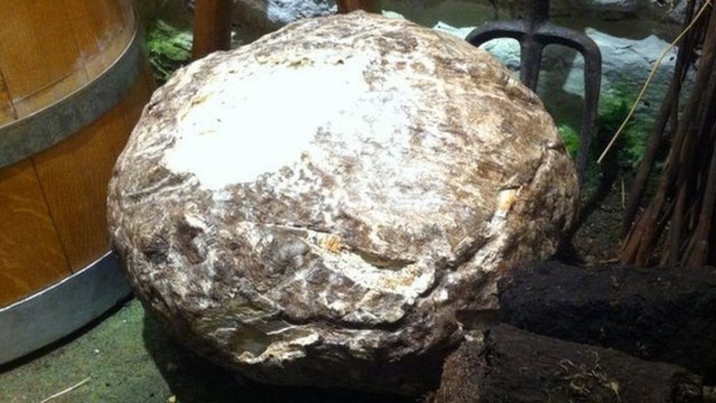 1,000-year-old butter ball found in Fermanagh bog - BBC News